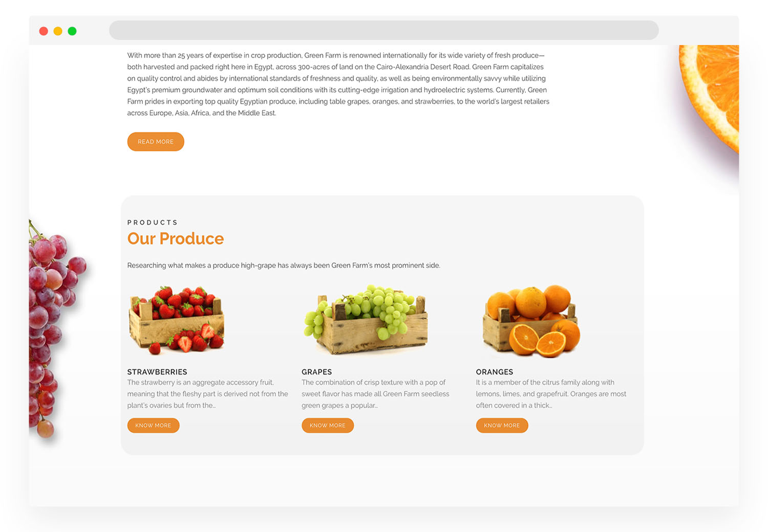 Green Farm Egypt - Pimula Agency